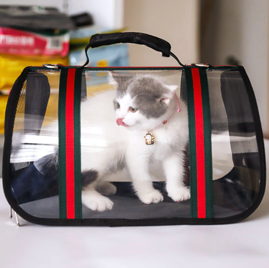 Transparent Carrier – Puppocino & Co.